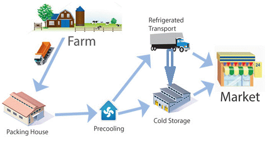 SANSU COLD CHAIN LLP - Logistic & Supply Chain - Gurugram